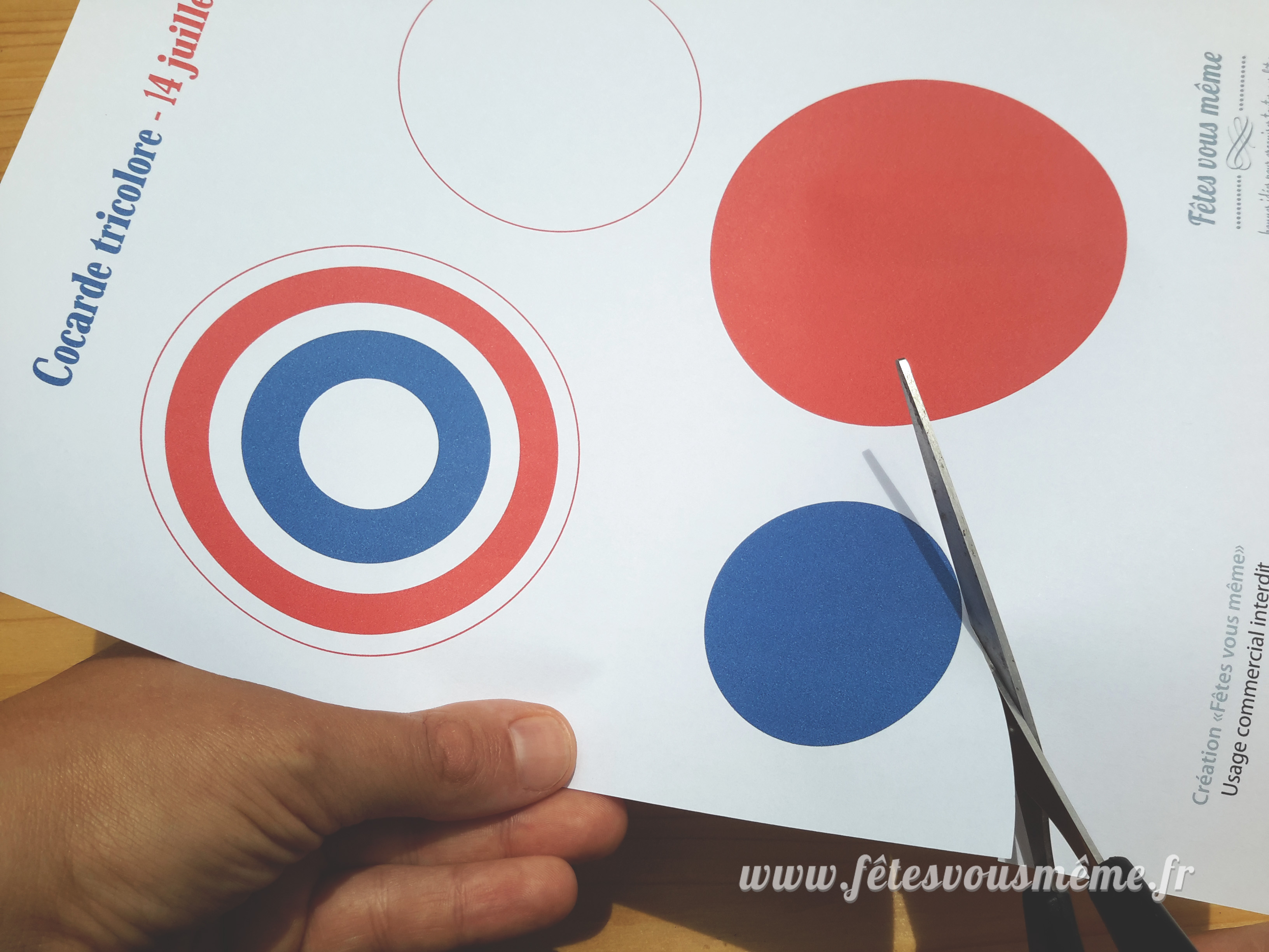 14 Juillet - DIY Cocarde Tricolore • Fêtes vous même